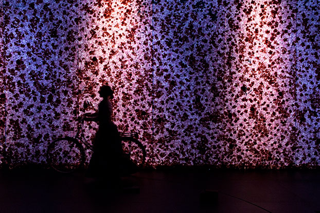 Archive: Renée Mulder - Sydney Theatre Company