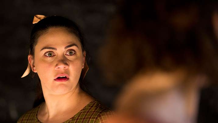 The Bleeding Tree - Sydney Theatre Company