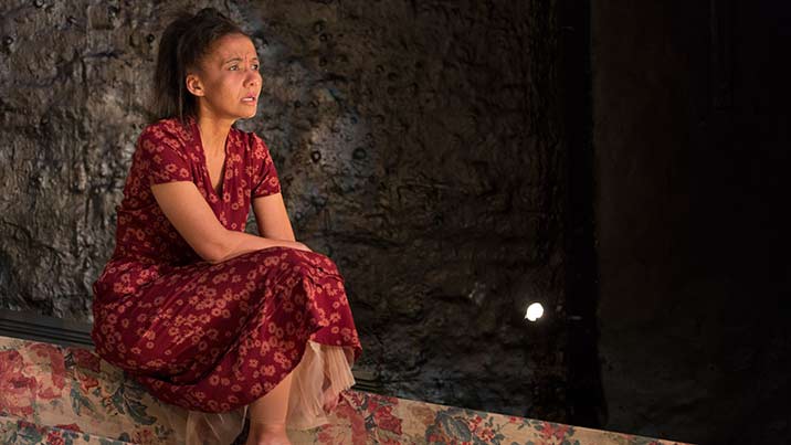 The Bleeding Tree - Sydney Theatre Company