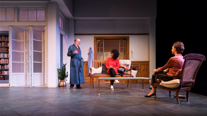 The Father - Sydney Theatre Company