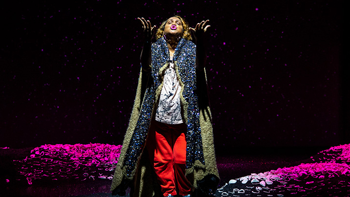 The 7 Stages of Grieving - Sydney Theatre Company