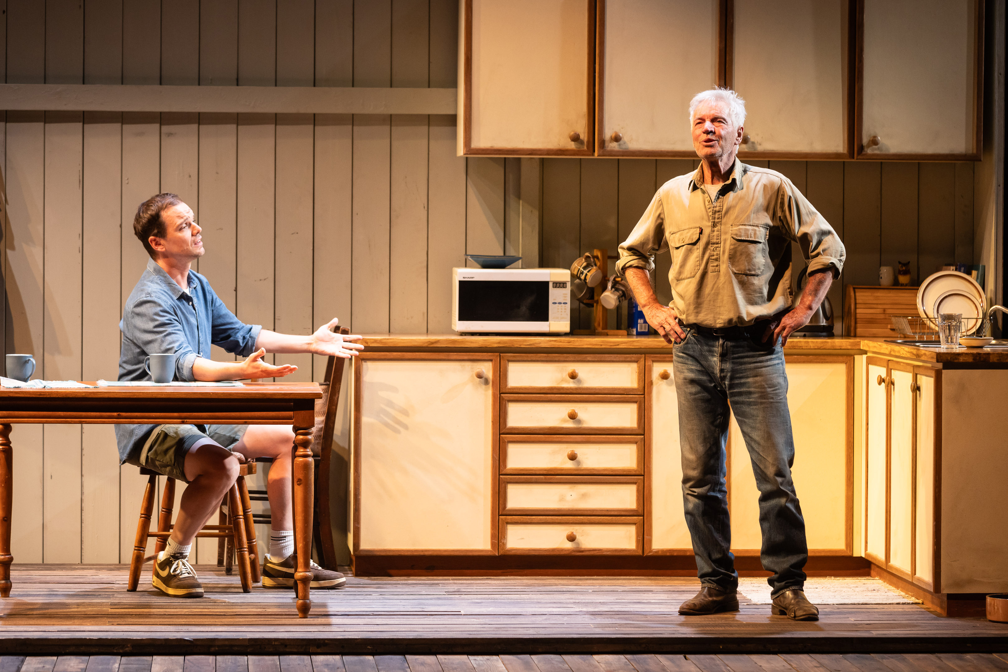 Into the Shimmering World - Sydney Theatre Company